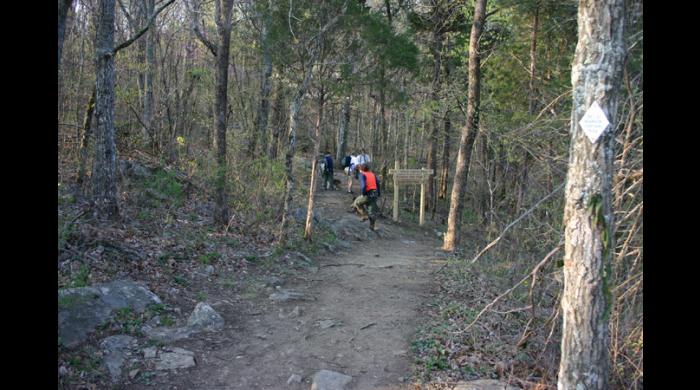 Certain | Forever Wild