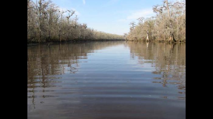 Mobile-Tensaw Delta | Forever Wild