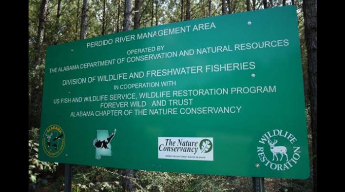 Perdido River WMA | Forever Wild