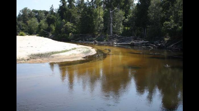Perdido River WMA | Forever Wild