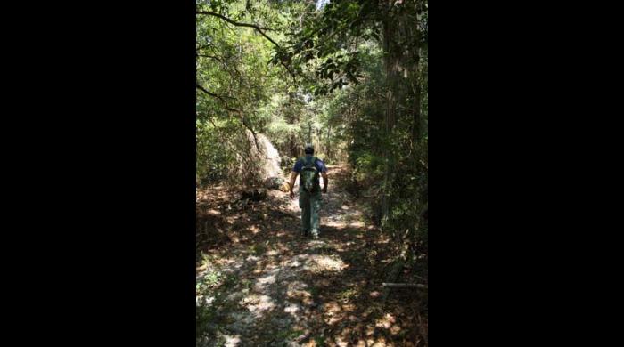 Perdido River WMA | Forever Wild