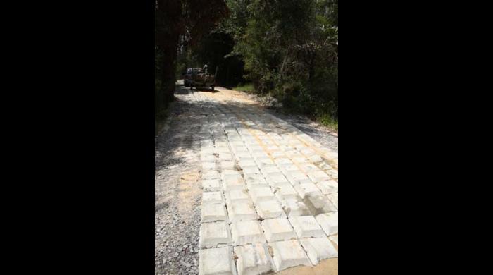 Perdido River WMA | Forever Wild