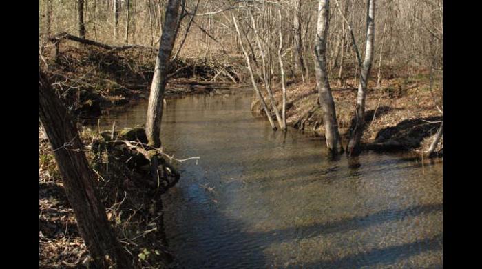 Lauderdale and Freedom Hills WMA | Forever Wild