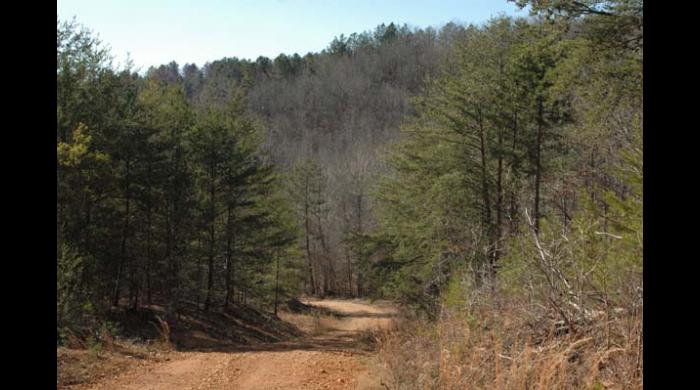 Lauderdale and Freedom Hills WMA | Forever Wild