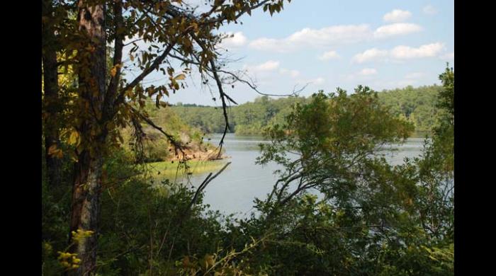 Yates Lake WMA | Forever Wild