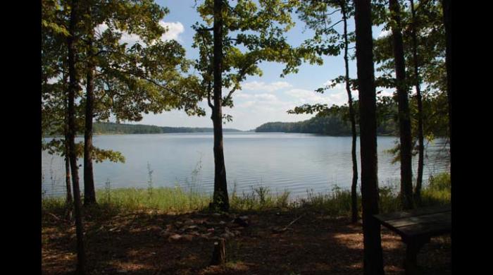Yates Lake WMA | Forever Wild
