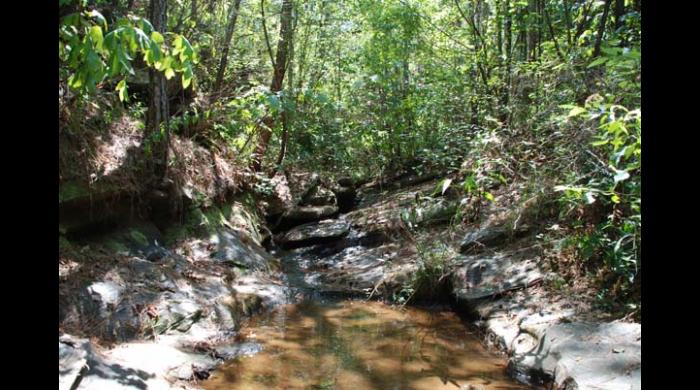Yates Lake WMA | Forever Wild
