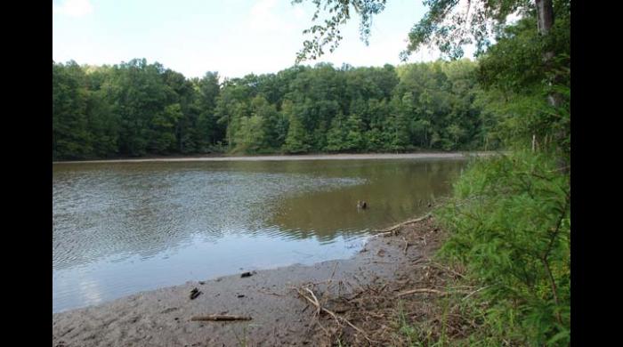 Yates Lake WMA | Forever Wild